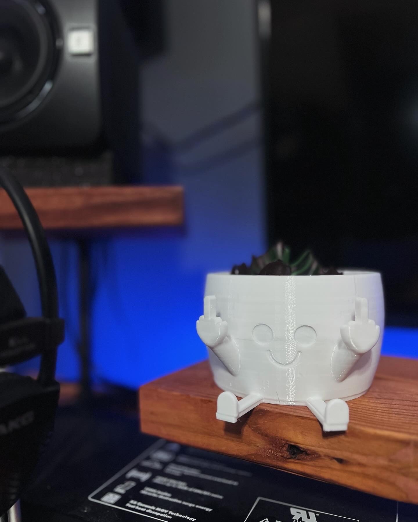 Middle Finger Flower Pot - Etsy