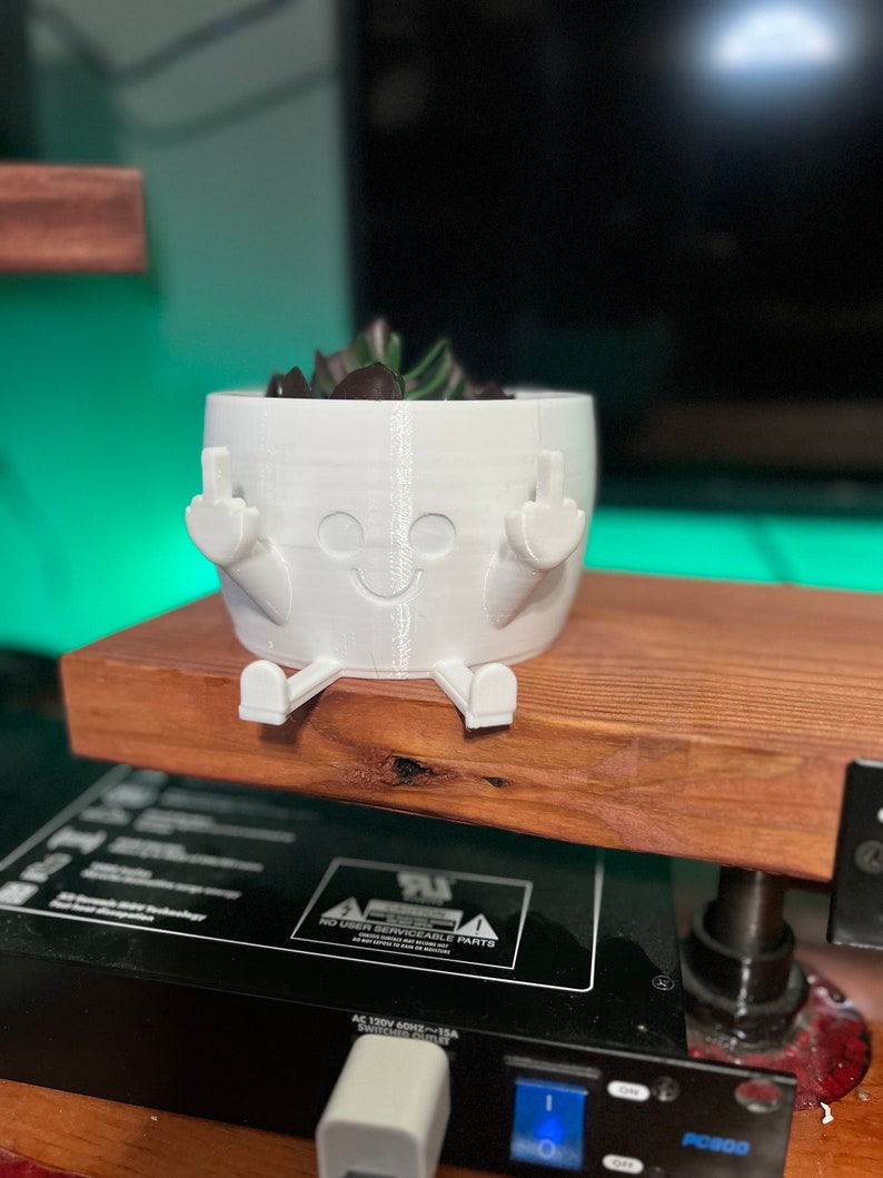 Middle Finger Flower Pot - Etsy