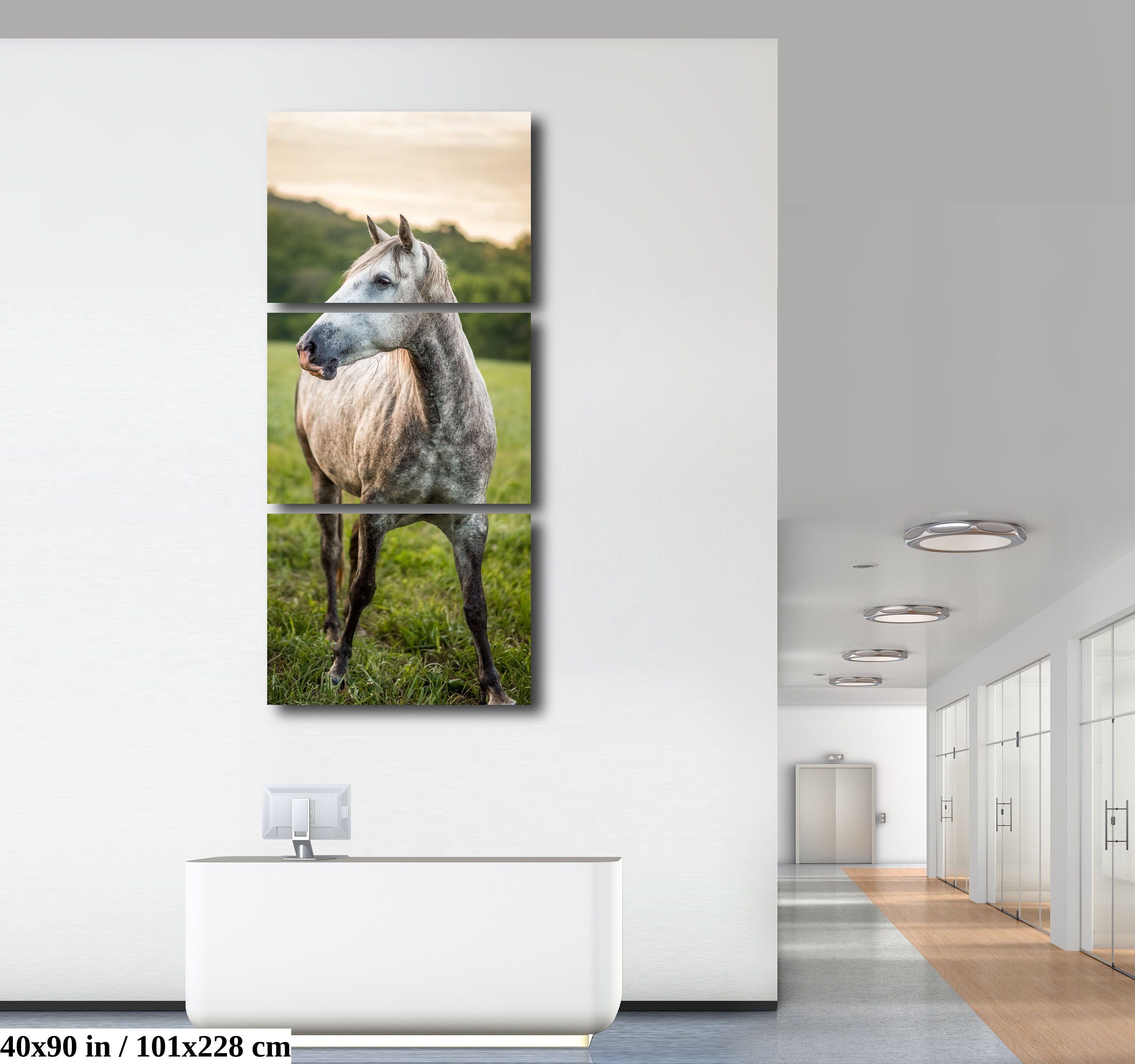 Horses in the Wild. Wild Horses of Eminence Missouri Fine Art Color ...