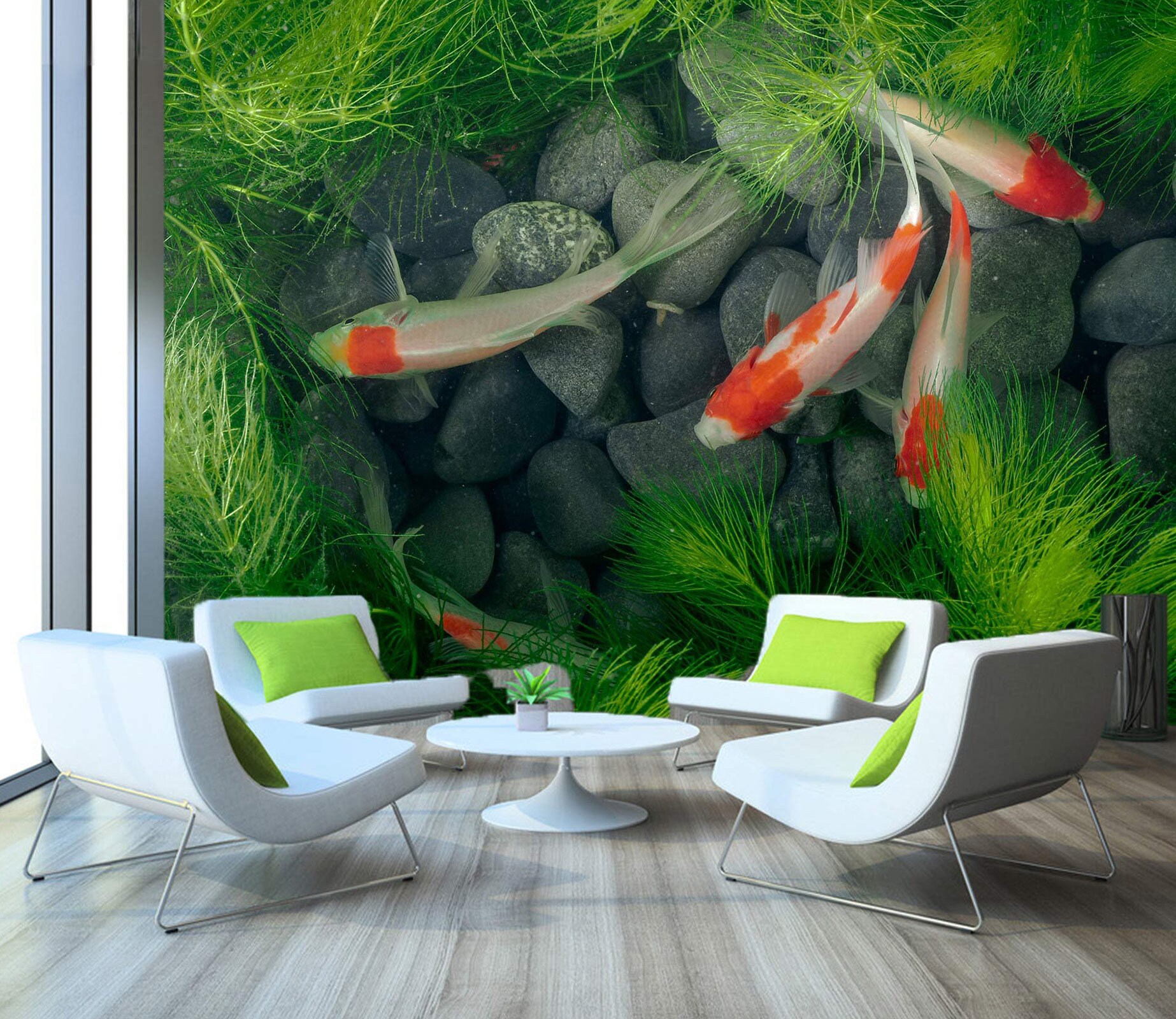Ikan Koi Wallpaper