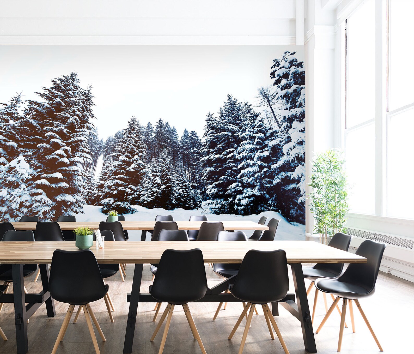 3D Cedar Forest Office L1513 Commercial Removable Wallpaper Self ...