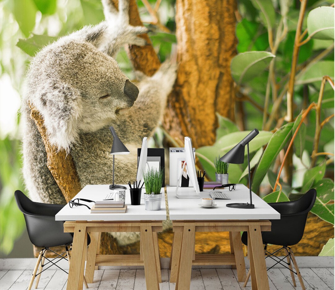 3D Cute Koala Animal L102 Removable Wallpaper Self Adhesive Wallpaper ...