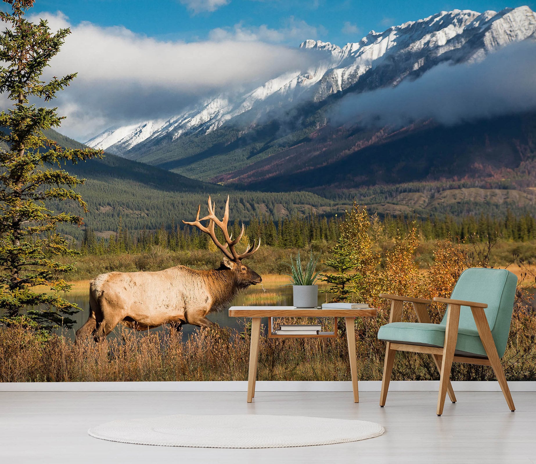 Elk 3d Cool Wallpapers