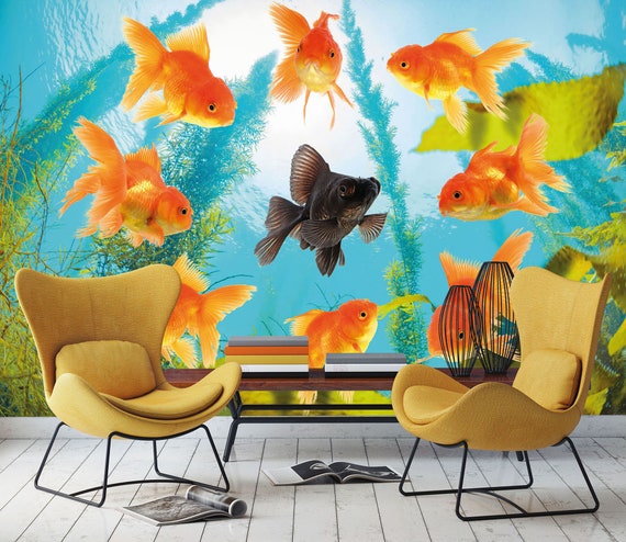 3d Gold Fish Wallpaper