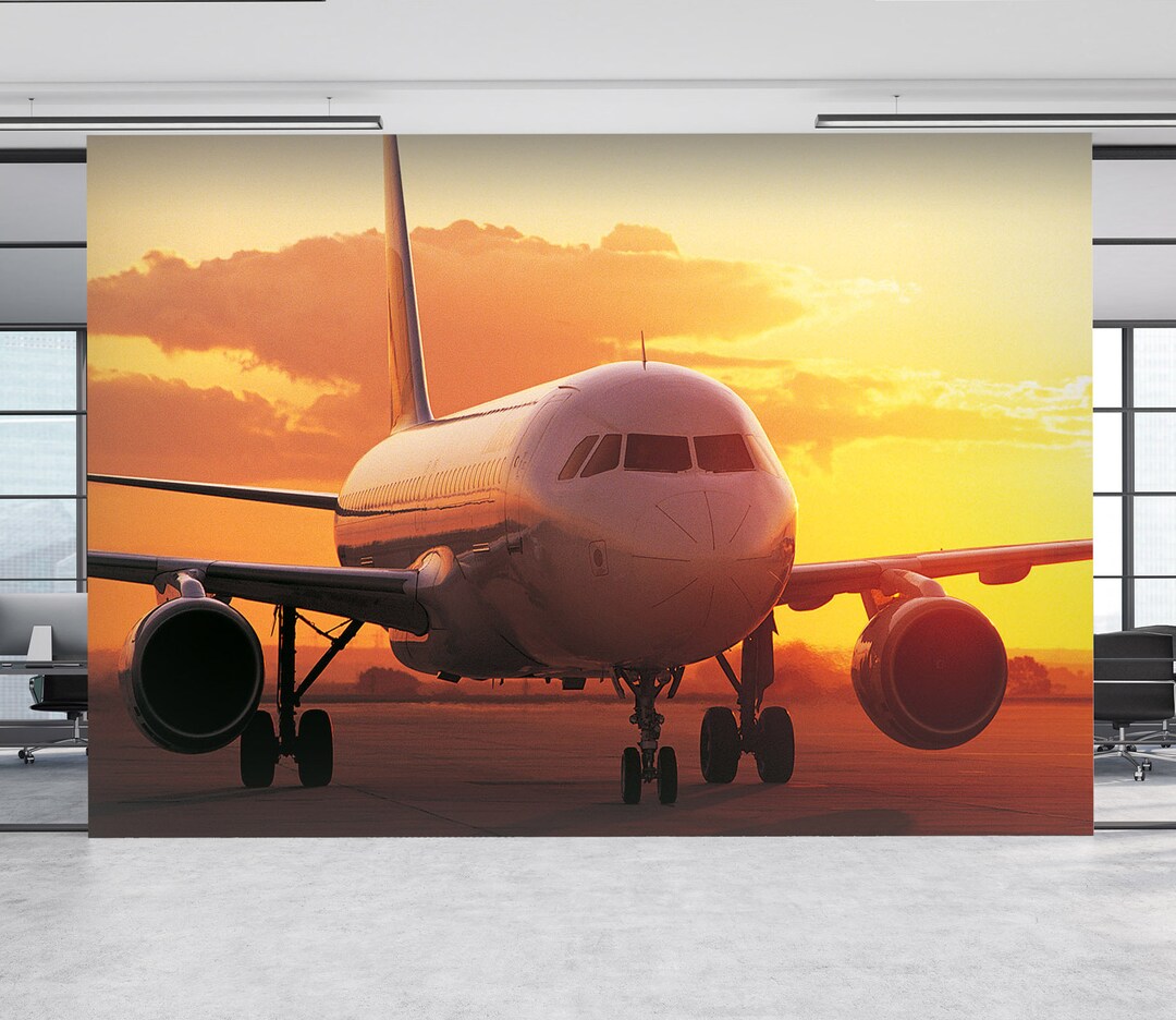 3D Airplane at Dusk Transport L524 Removable Wallpaper Self Adhesive ...