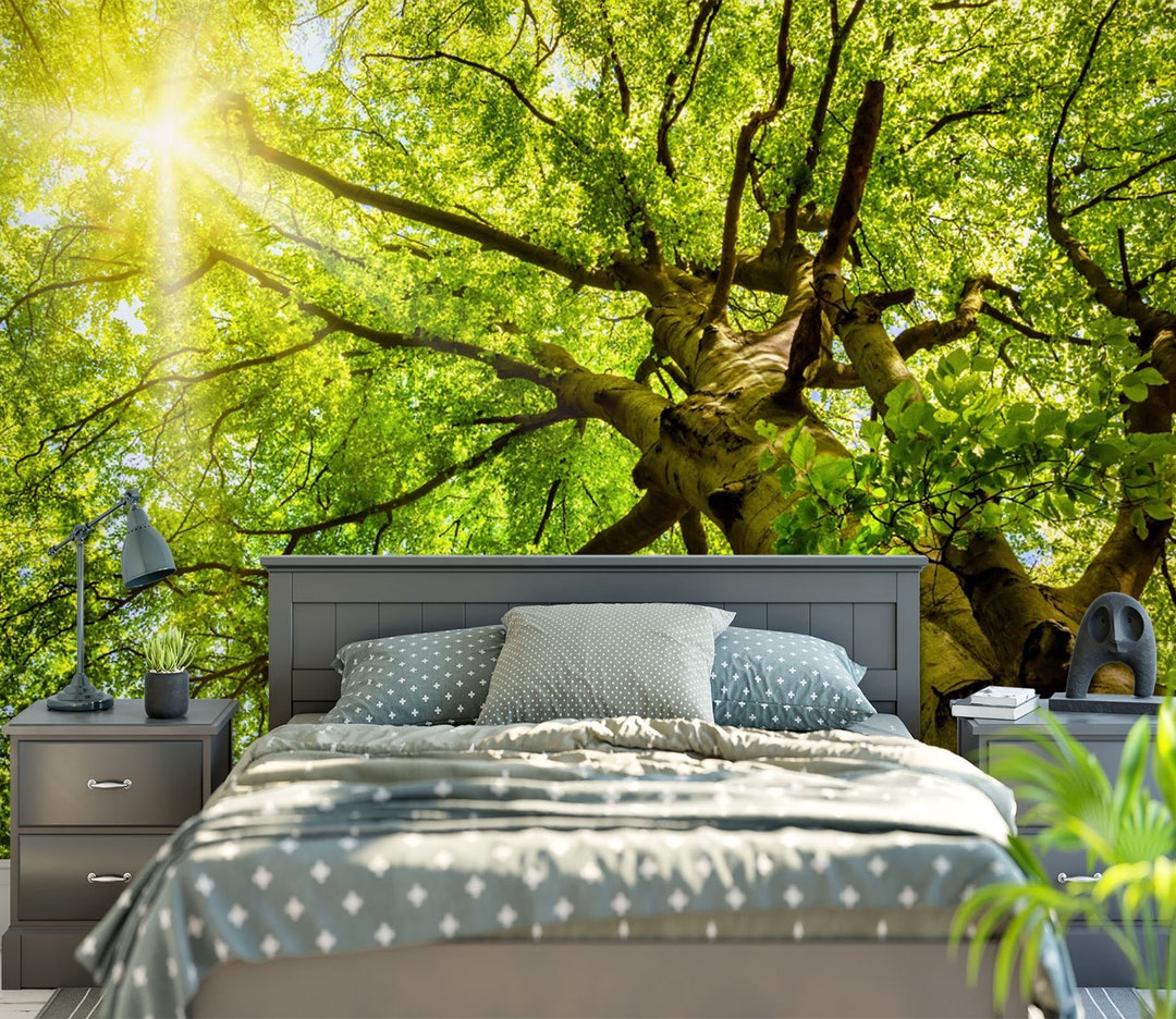 3D Sunshine Forest Hope Bedroom L2814 Commercial Removable Wallpaper ...