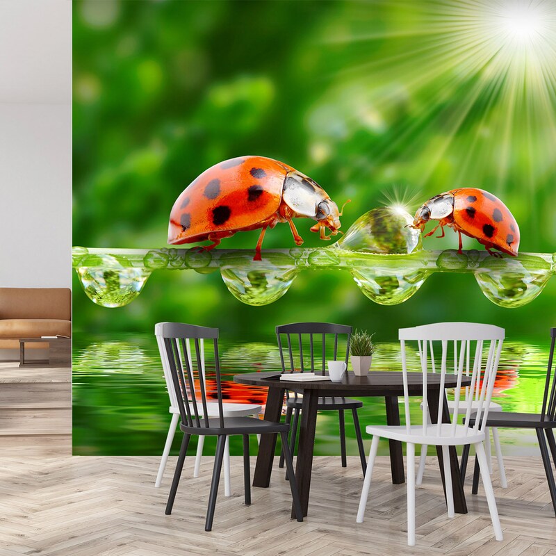 Ladybug Wall Decal - Etsy