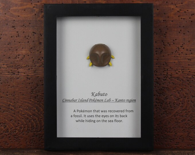 Kabuto Taxidermy Museum Style Display - Etsy