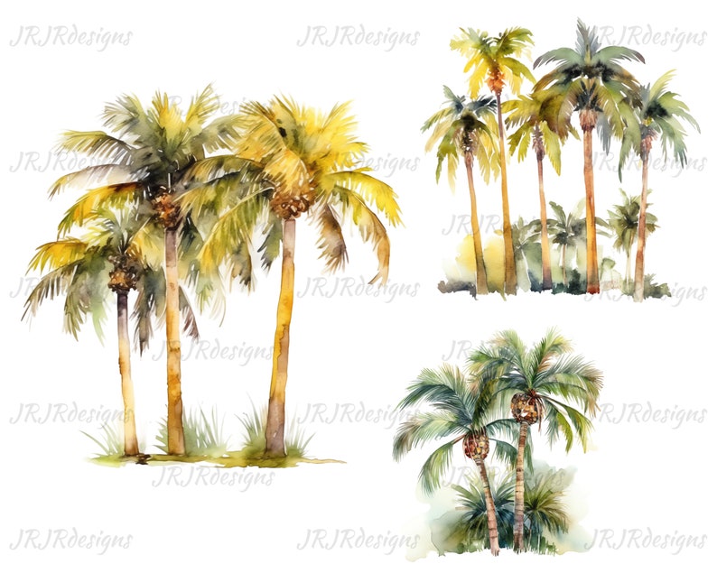 Watercolor Palm Tree Clipart Bundle: Tropical PNG Images (digital ...