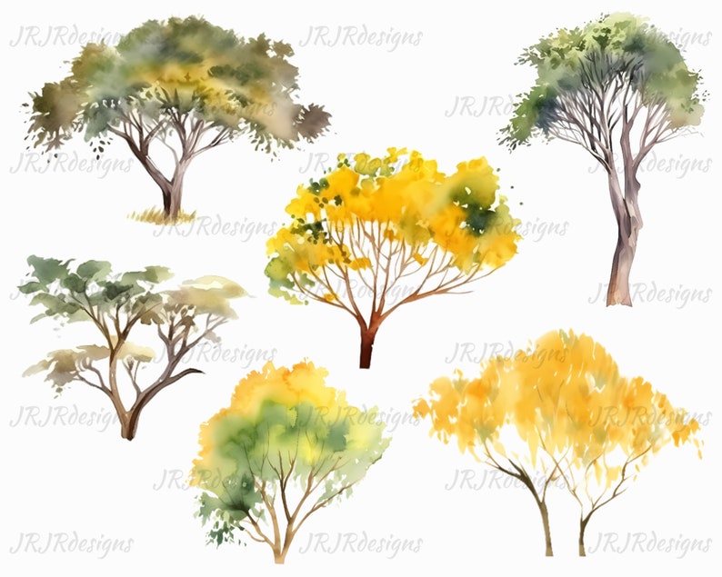 31 Safari Trees Clipart Bundle | 300 DPI | Watercolor Africa Acacia ...