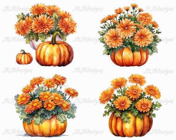 Fall Mums Clipart