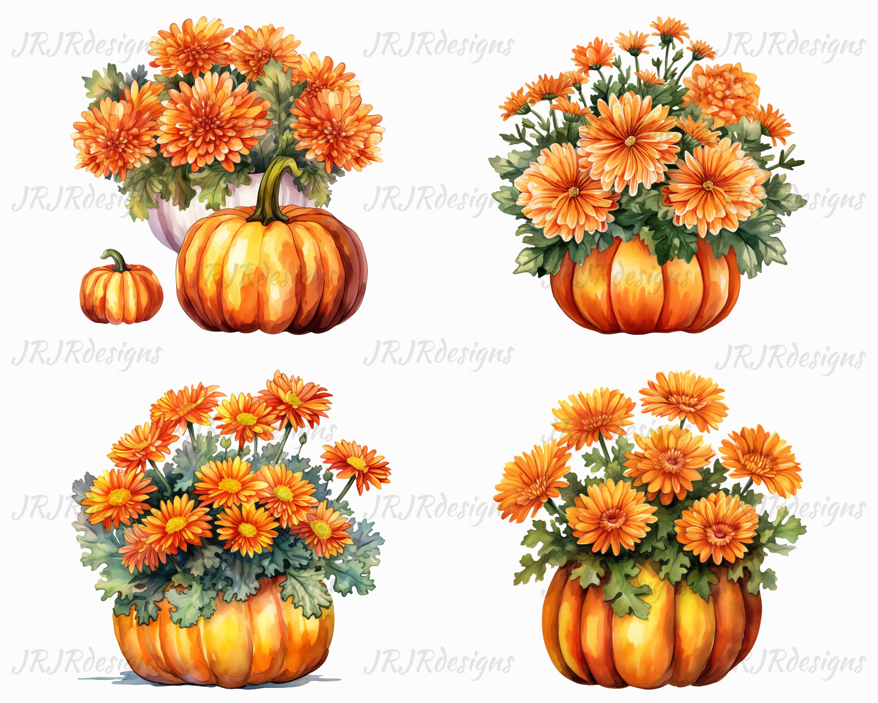 20 Mums in a Pumpkin Clipart Bundle 300 DPI Watercolor Fall Flowers ...