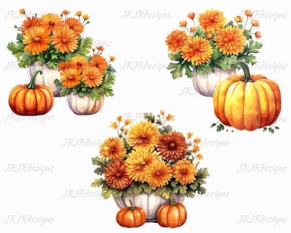 Fall Mums Clipart