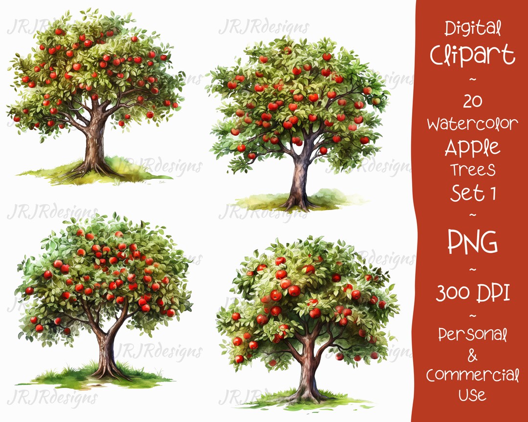 20 Apple Trees Clipart Bundle | 300 DPI | Watercolor | Nature | Fruit ...