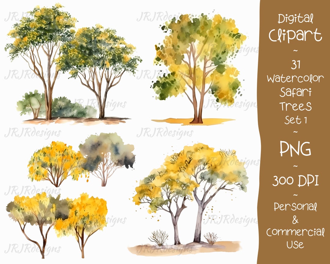 31 Safari Trees Clipart Bundle | 300 DPI | Watercolor Africa Acacia ...