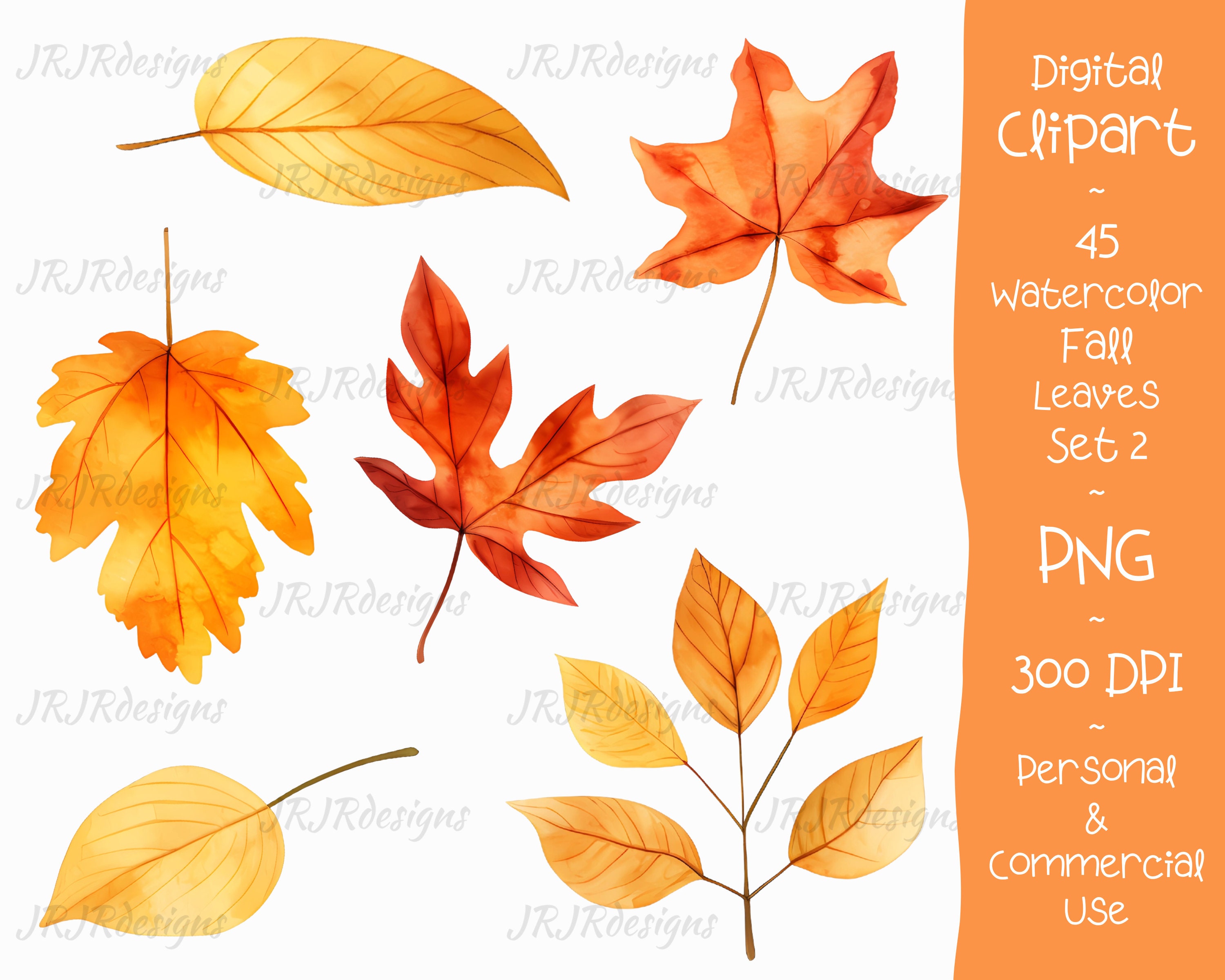 45 Fall Leaves Clipart Bundle | 300 DPI | Watercolor | Autumn Foliage ...