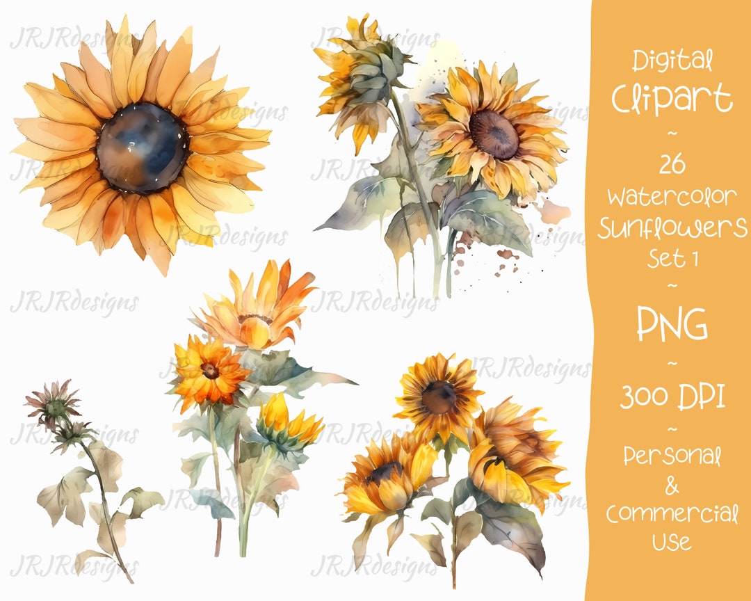 26 Watercolor Sunflowers Clipart Bundle 300 DPI Yellow Summer Flowers ...