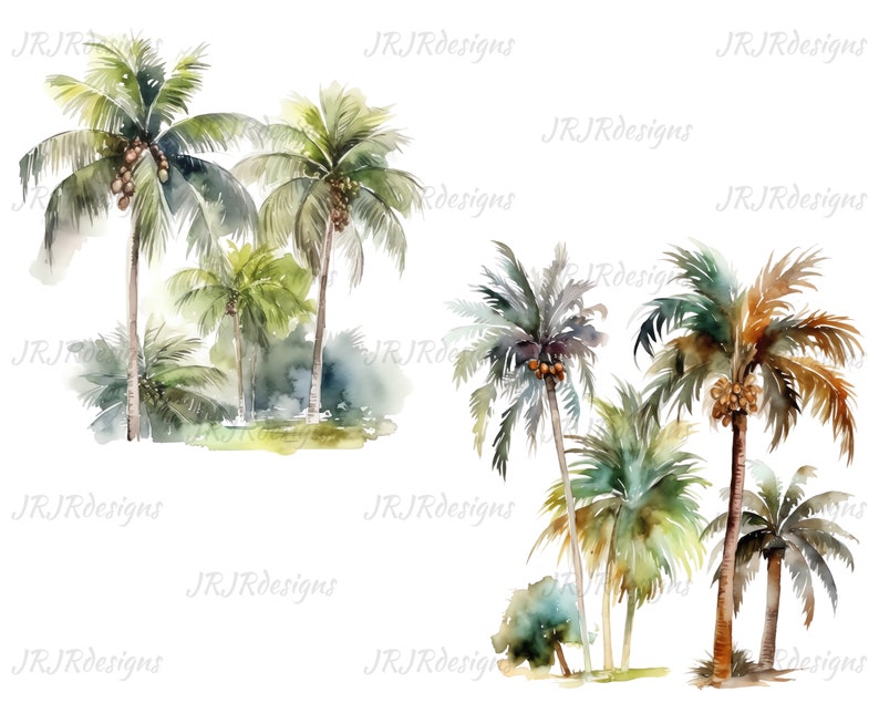 Watercolor Palm Tree Clipart Bundle: Tropical PNG Images (digital ...