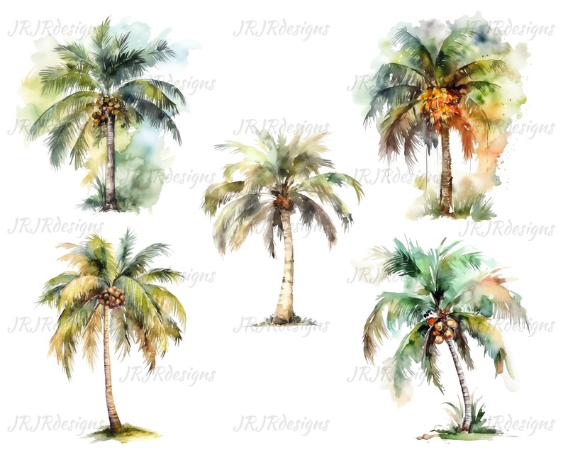 Watercolor Palm Tree Clipart Bundle: Tropical PNG Images (digital ...