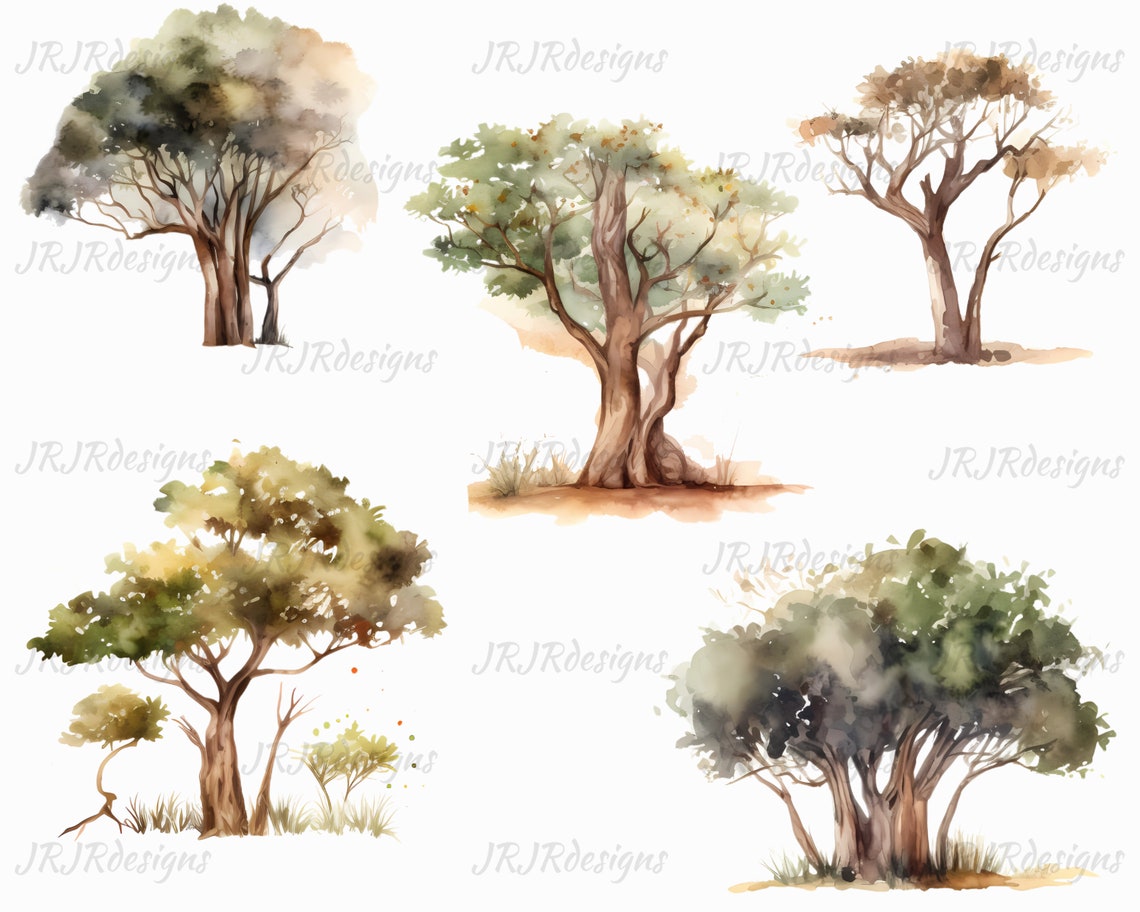 32 Safari Trees Clipart Bundle | 300 DPI | Watercolor African Savanna ...