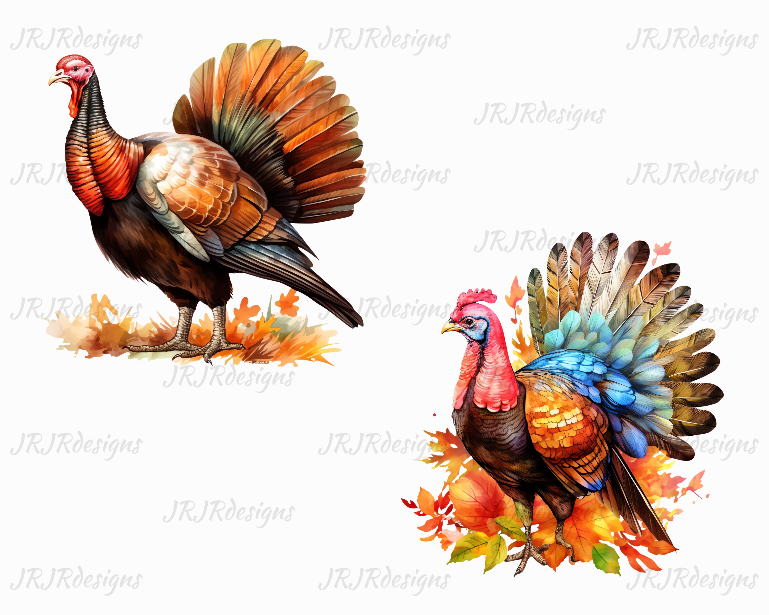 20 Turkeys Clipart Bundle 300 DPI Watercolor Thanksgiving Colorful ...