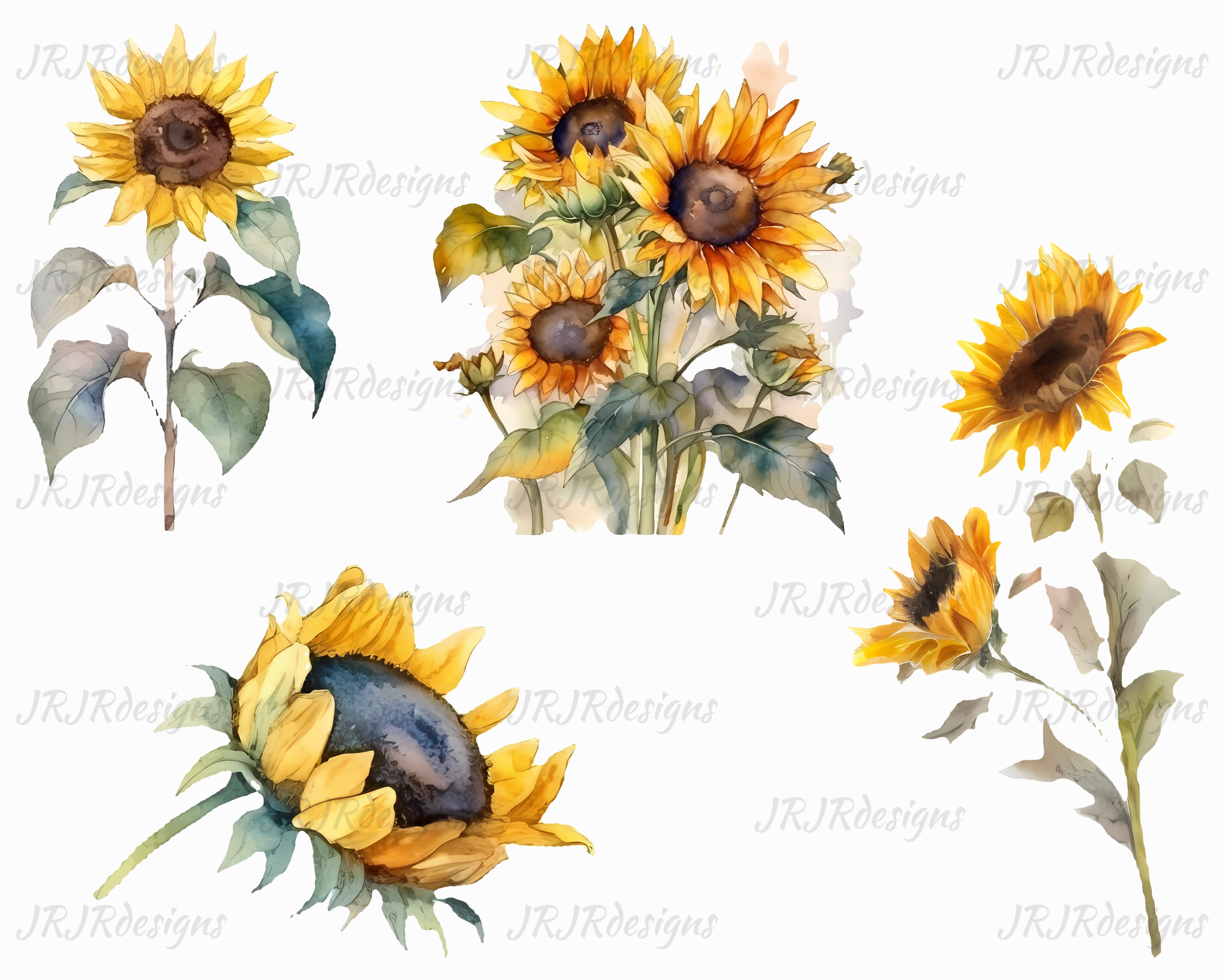 26 Watercolor Sunflowers Clipart Bundle 300 DPI Yellow Summer Flowers ...