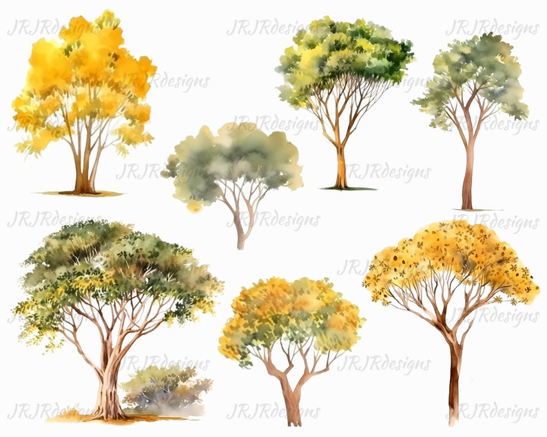 31 Safari Trees Clipart Bundle | 300 DPI | Watercolor Africa Acacia ...