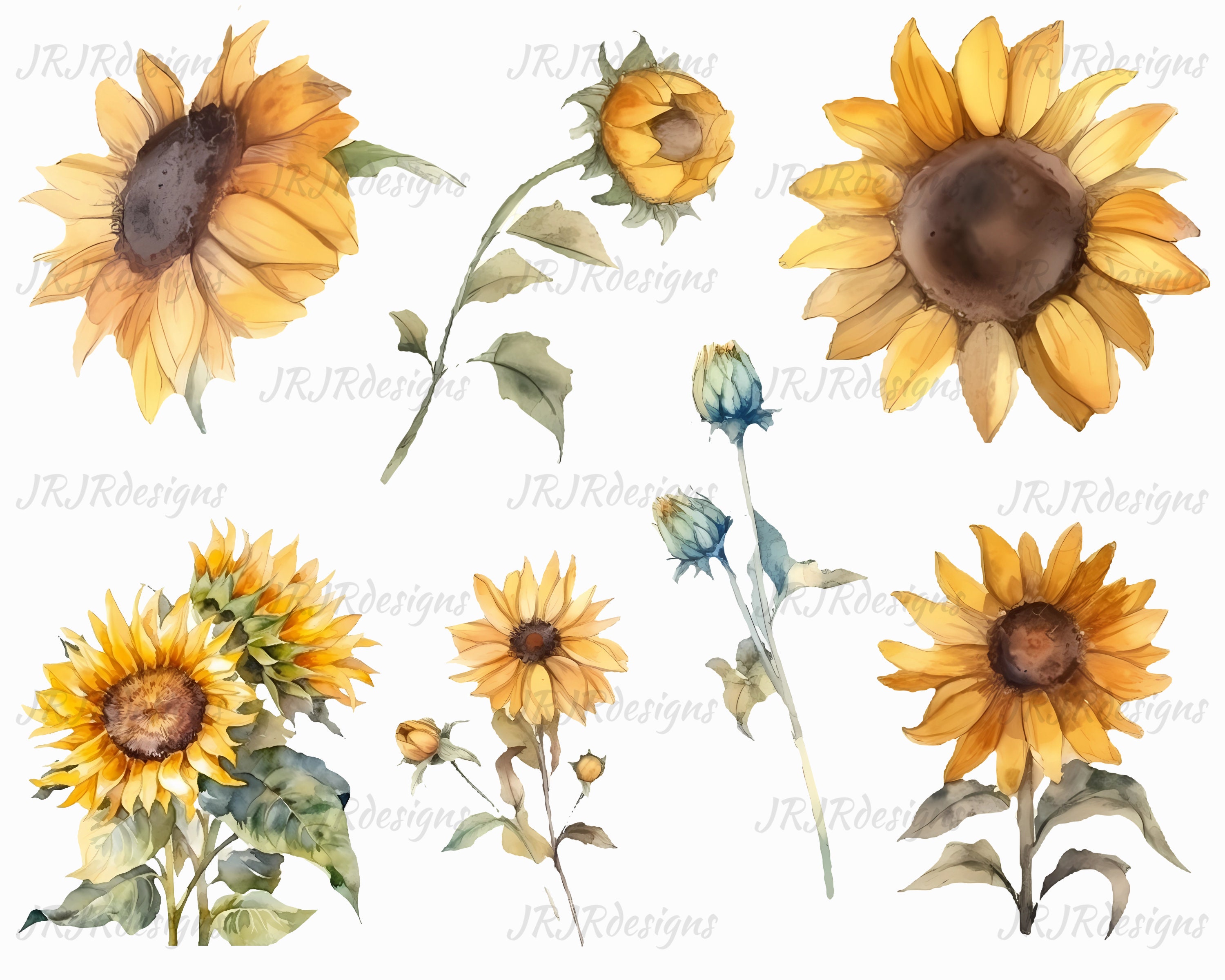 26 Watercolor Sunflowers Clipart Bundle 300 DPI Yellow Summer Flowers ...