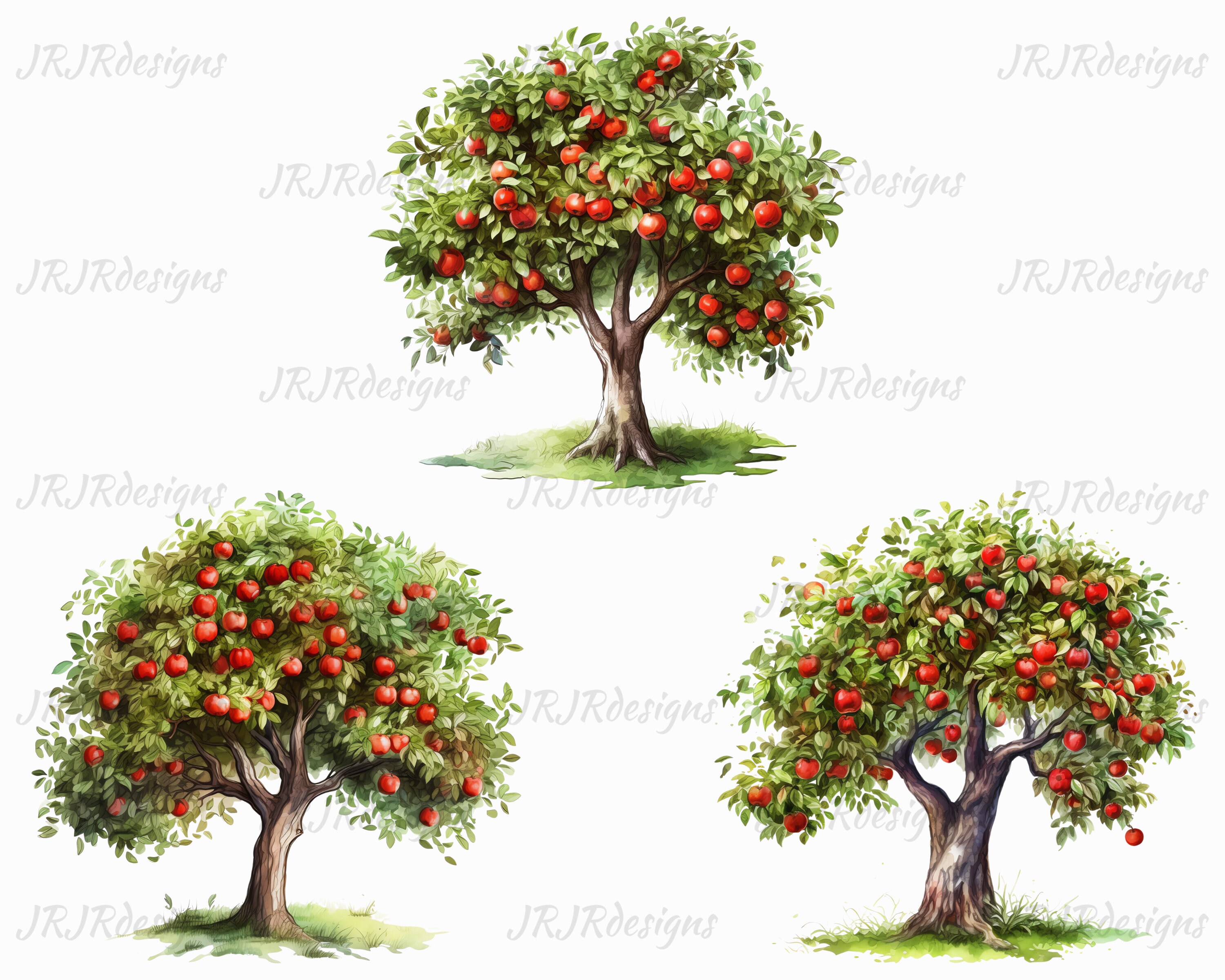 20 Apple Trees Clipart Bundle | 300 DPI | Watercolor | Nature | Fruit ...