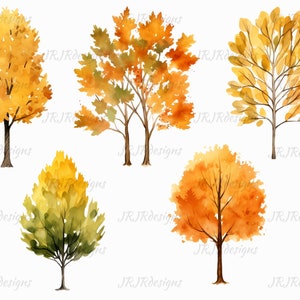 39 Fall Trees Clipart Bundle 300 DPI Watercolor Nature Autumn Colors ...
