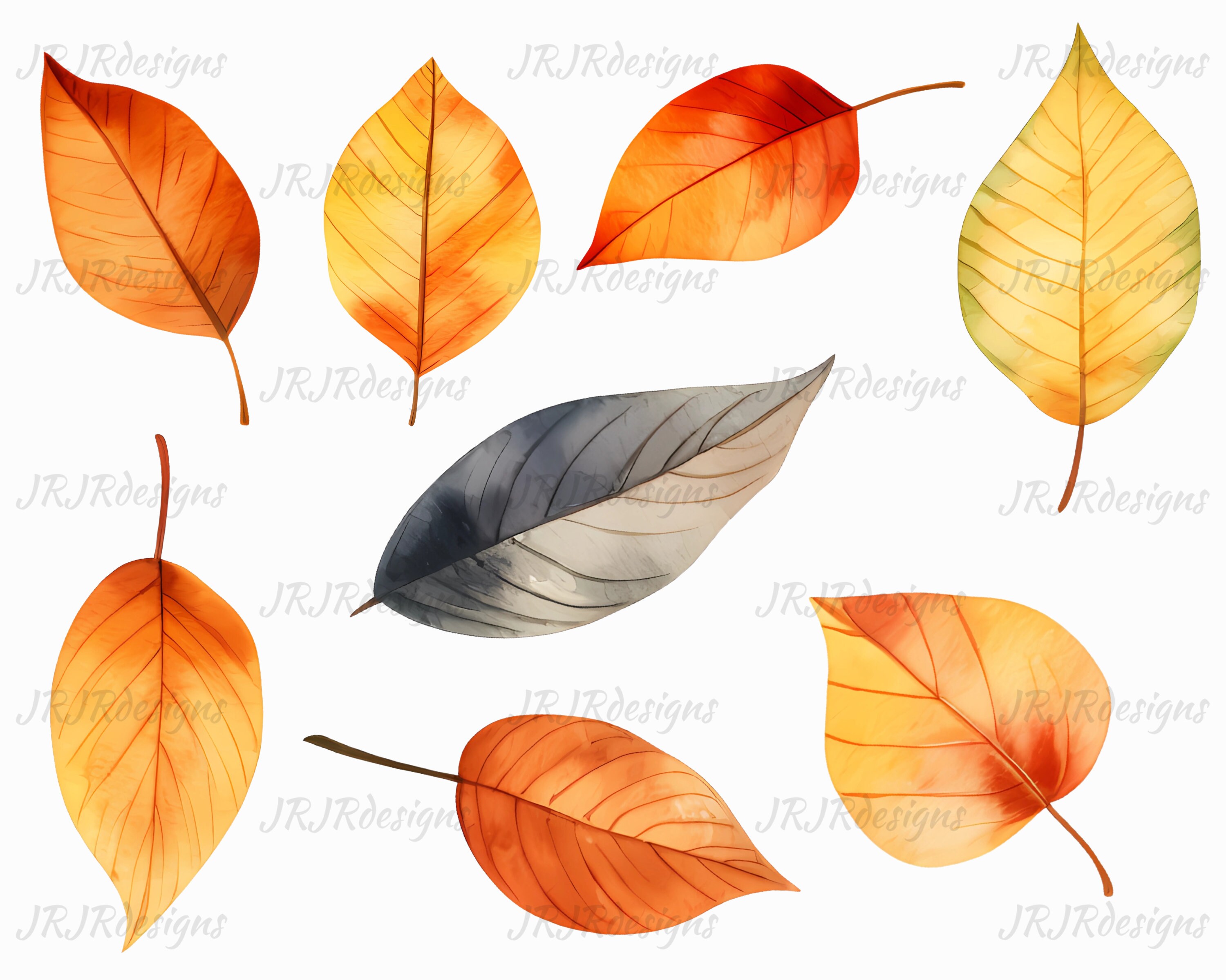 45 Fall Leaves Clipart Bundle | 300 DPI | Watercolor | Autumn Foliage ...