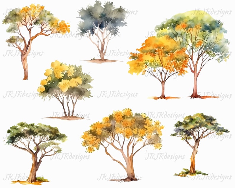 31 Safari Trees Clipart Bundle | 300 DPI | Watercolor Africa Acacia ...