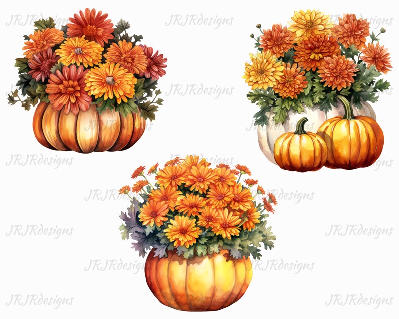 20 Mums in a Pumpkin Clipart Bundle 300 DPI Watercolor Fall Flowers ...