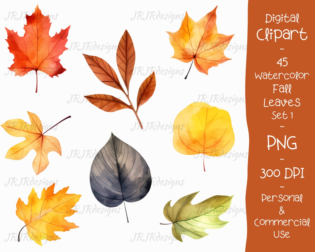 45 Fall Leaves Clipart Bundle | 300 DPI | Watercolor | Autumn Foliage ...