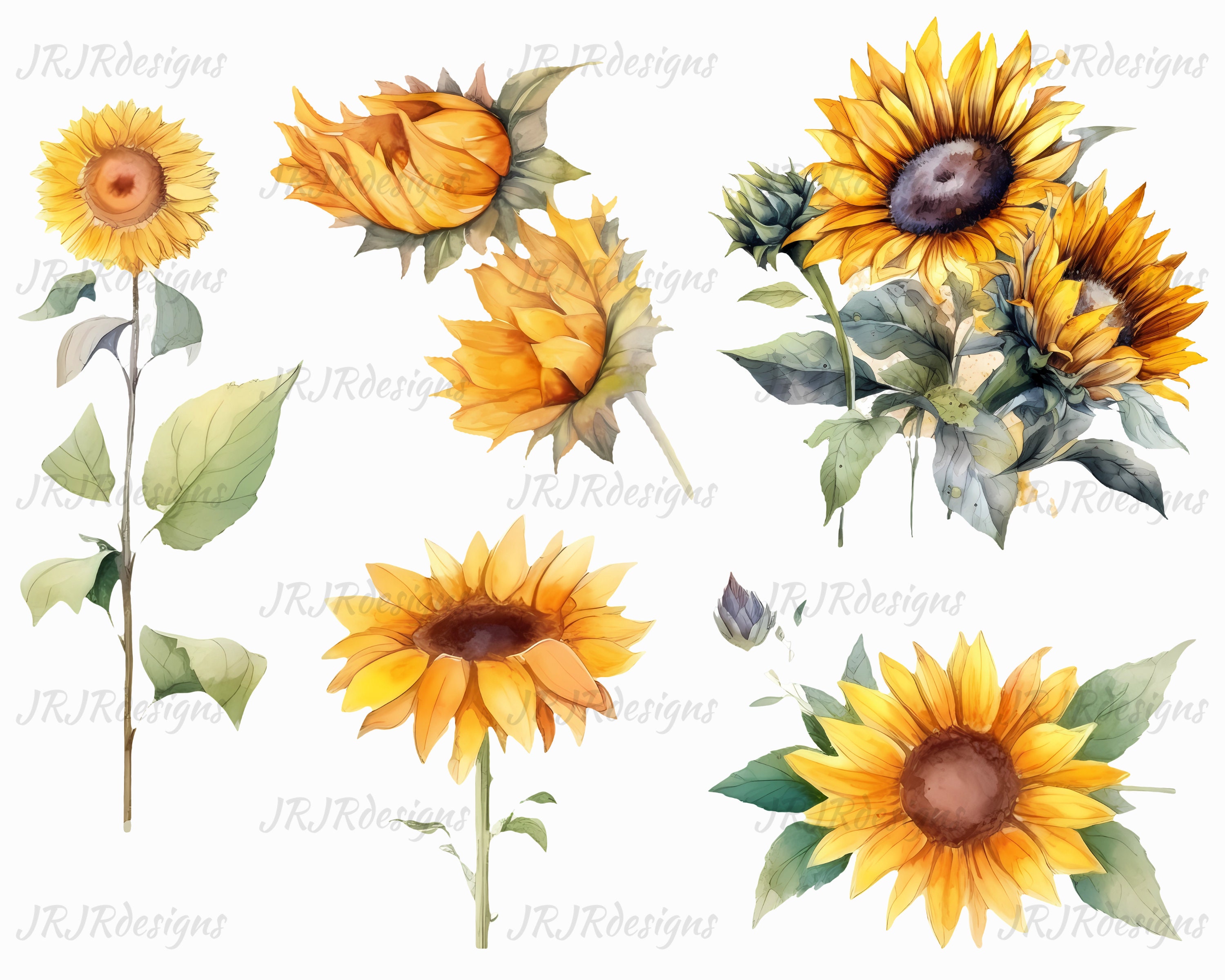 26 Sunflowers Clipart Bundle 300 DPI Watercolor Bright Happy Flowers ...