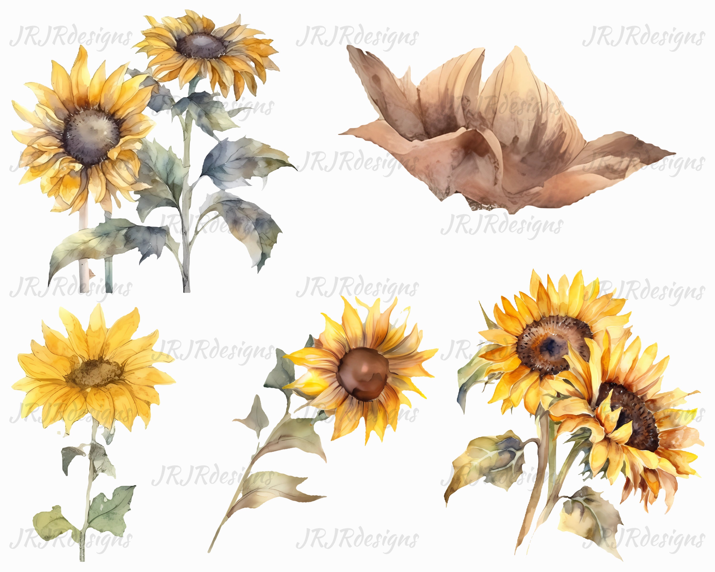 26 Watercolor Sunflowers Clipart Bundle 300 DPI Yellow Summer Flowers ...