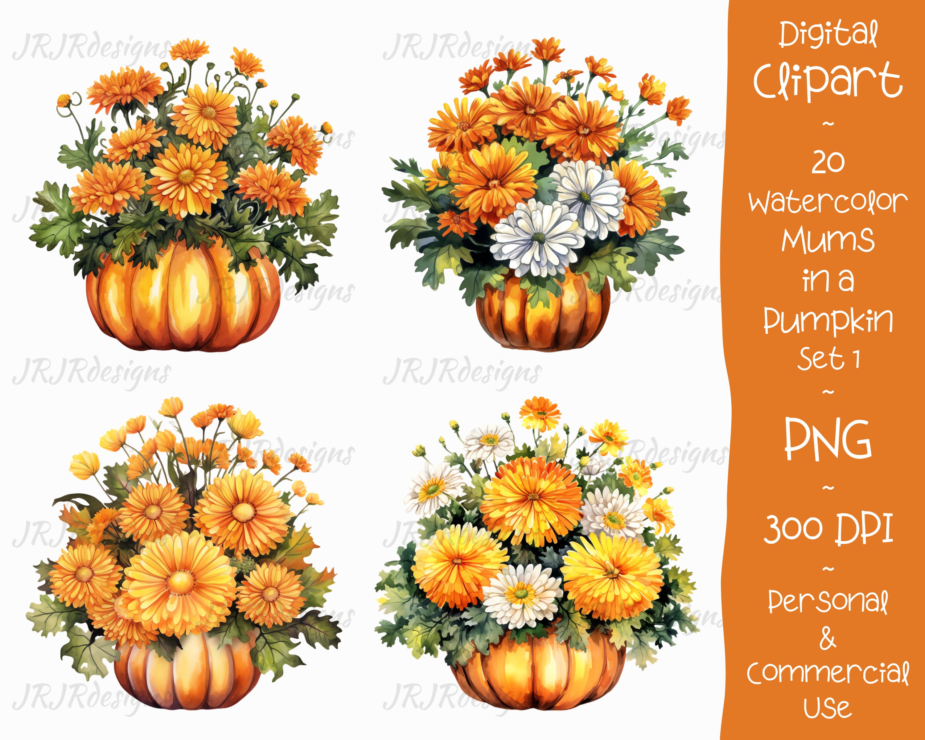 20 Mums in a Pumpkin Clipart Bundle 300 DPI Watercolor Fall Flowers ...