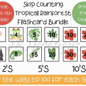 Skip Counting Tropical Rainforest Flashcard Bundle Count by 2's 5's 10 ...