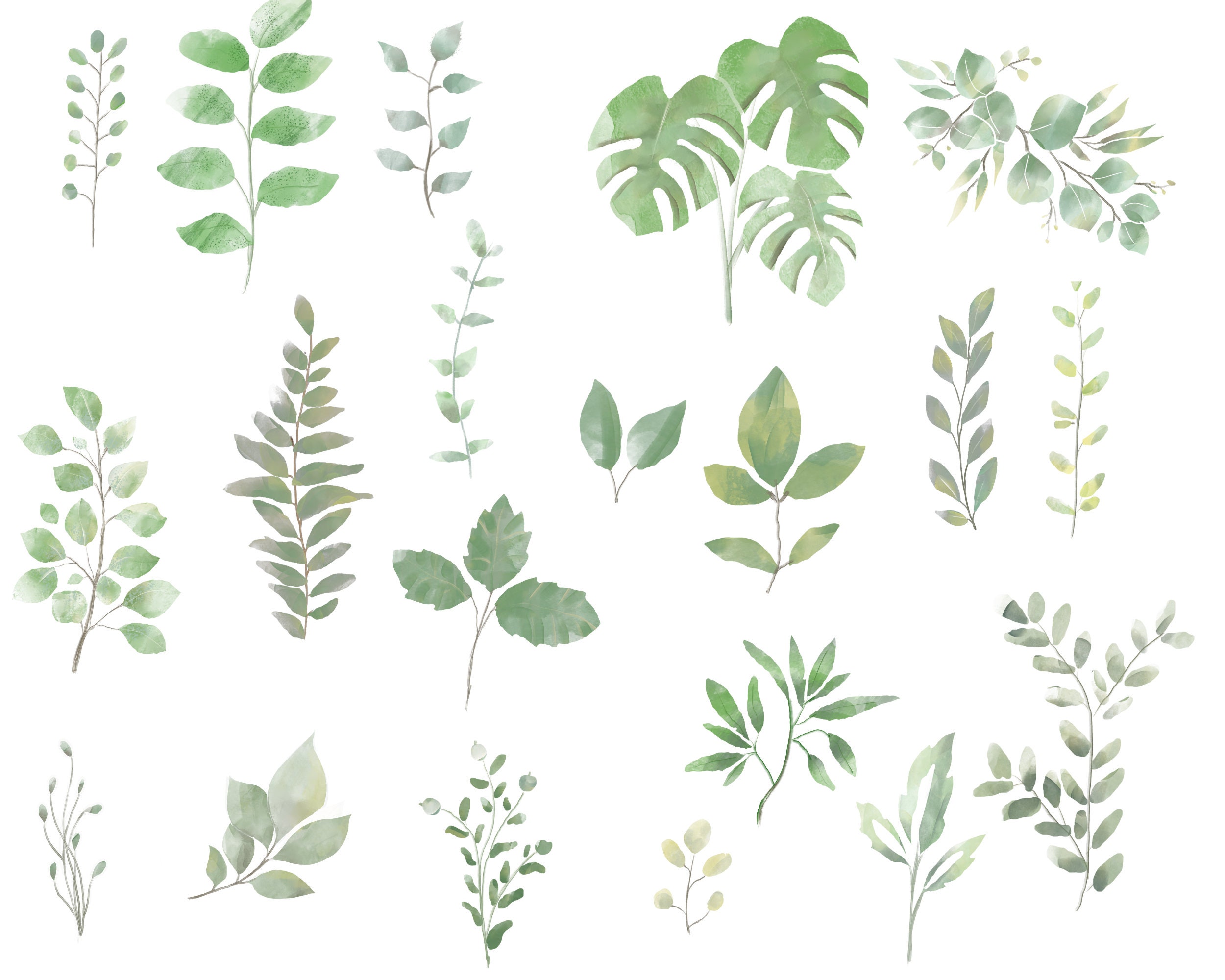 Leaves Clipart Bundle, Leaf Png, Watercolor Png, Leaf Png, Greenery ...