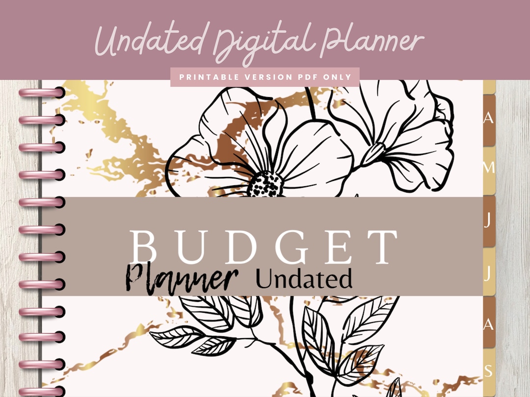 Digital Budget Planner Goodnotes Budget Worksheet Budgeting - Etsy