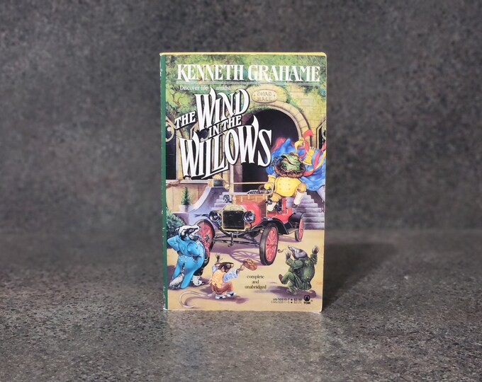 Wind in the Willows Mr Toad 2 Counted Cross Stitch Pattern x-stitch PDF ...