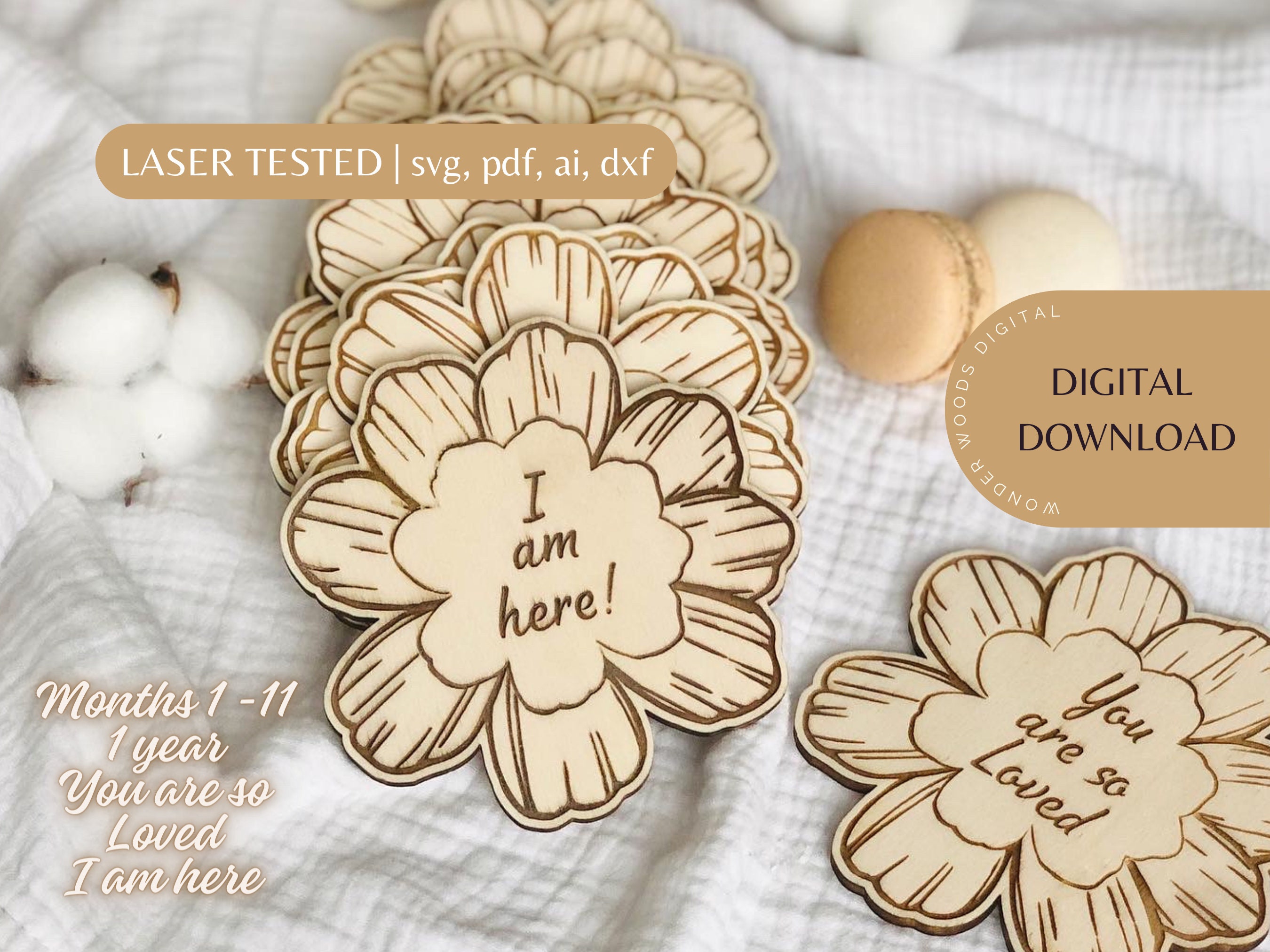 SVG File 14 Baby Birth Milestone Flower Daisy Cards Digital Cut File ...