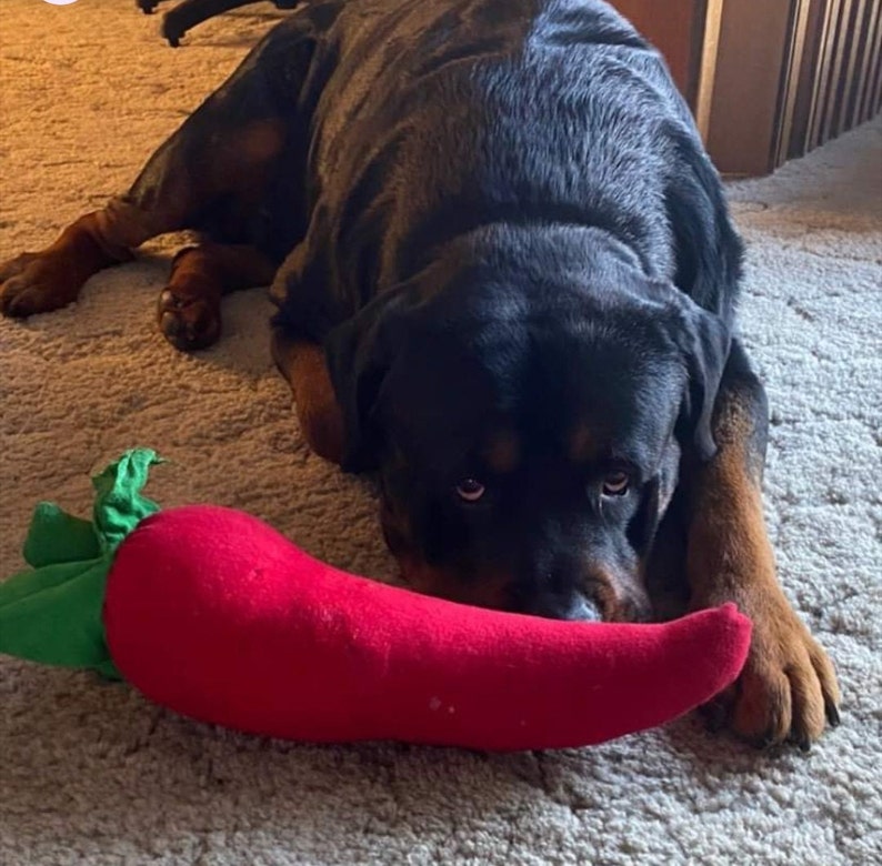 Handmade 11 Chile Pepper Stuffed Plush Toy Dog Toy - Etsy