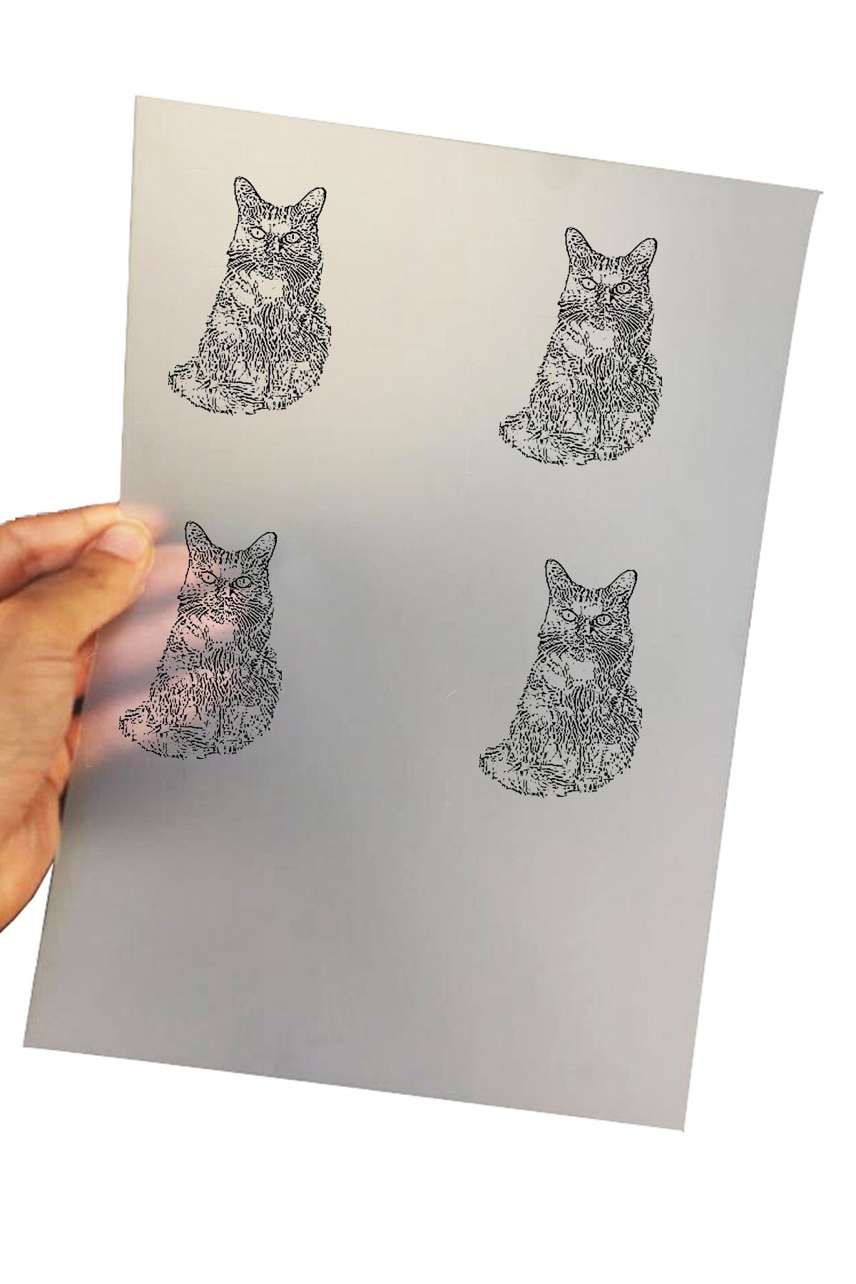 Personalized Cat Drawing DTF Transfer Heat Transfer Ready to Press ...