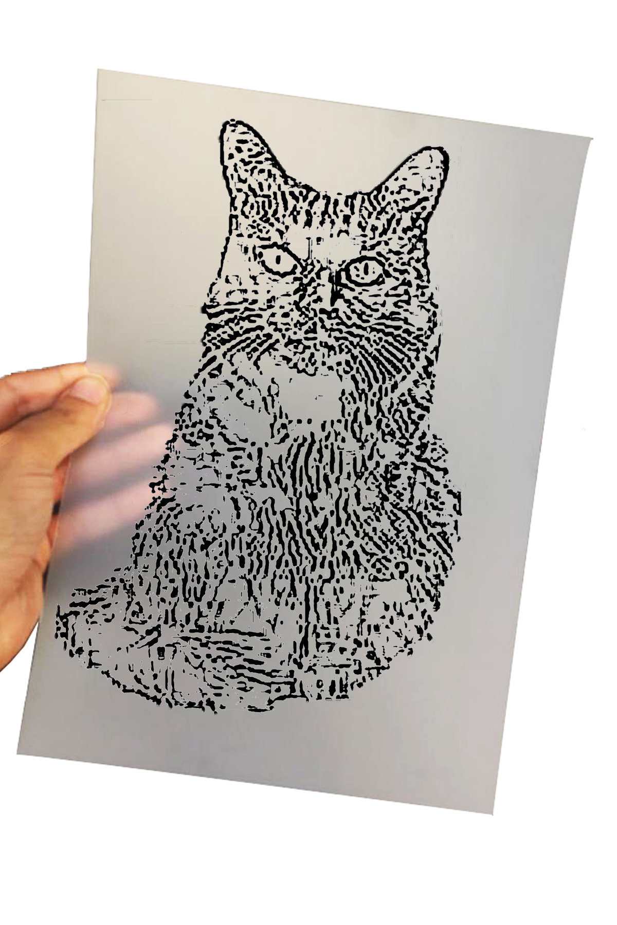 Personalized Cat Drawing DTF Transfer | Heat Transfer Ready to Press ...