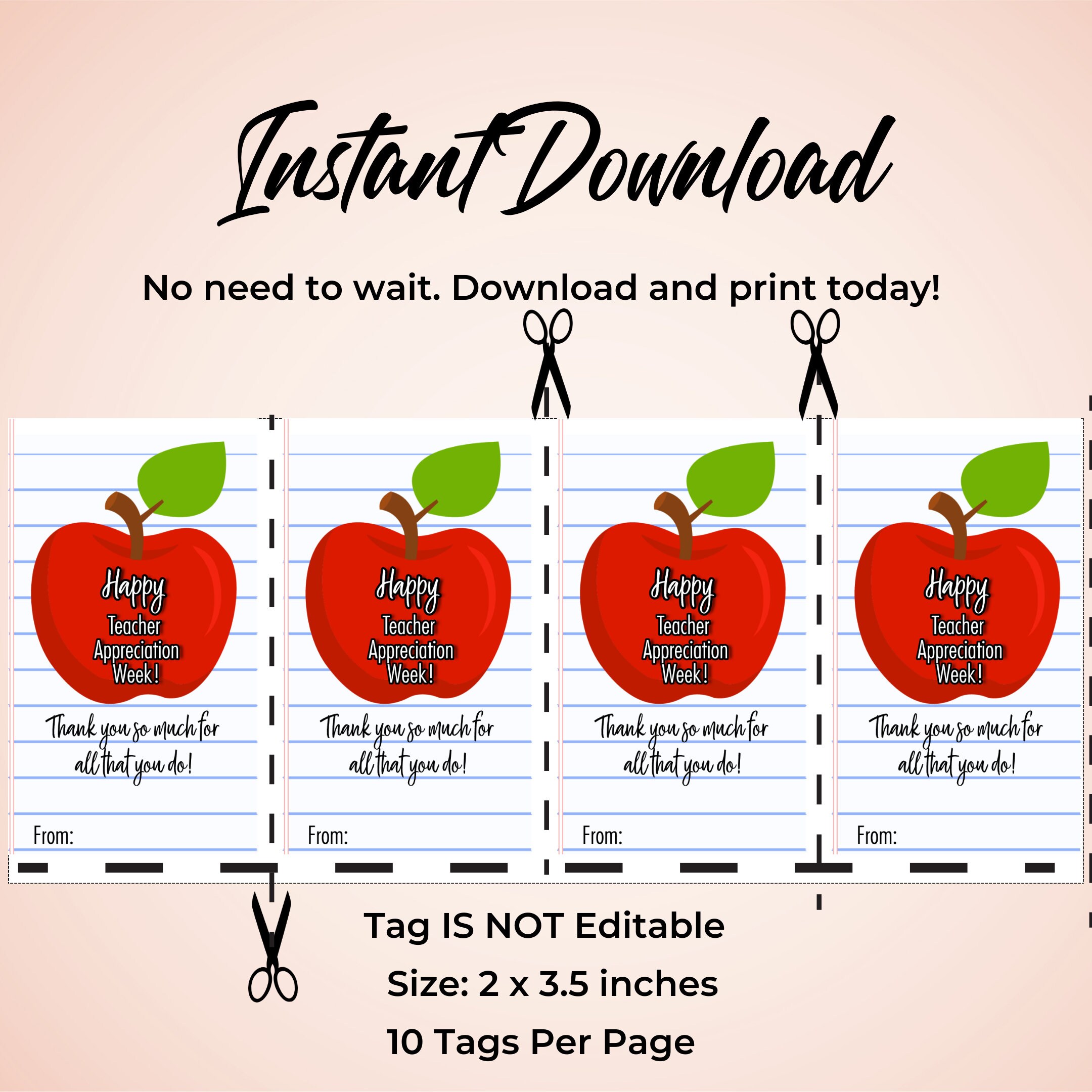 Apple Teacher Appreciation Gift Tag: Printable Thank You (digital ...