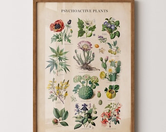 psychoactive plants