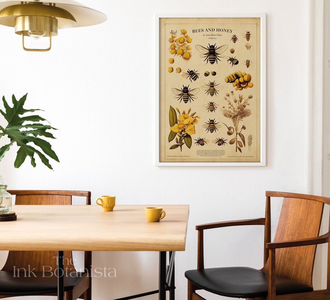 Bees Chart Print Bees Poster Bee Illustration Bee Types - Etsy