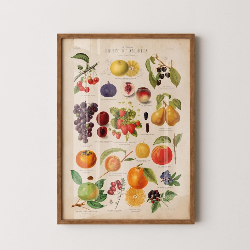 Fruits of America Vintage Botanical Chart Print - Native American ...