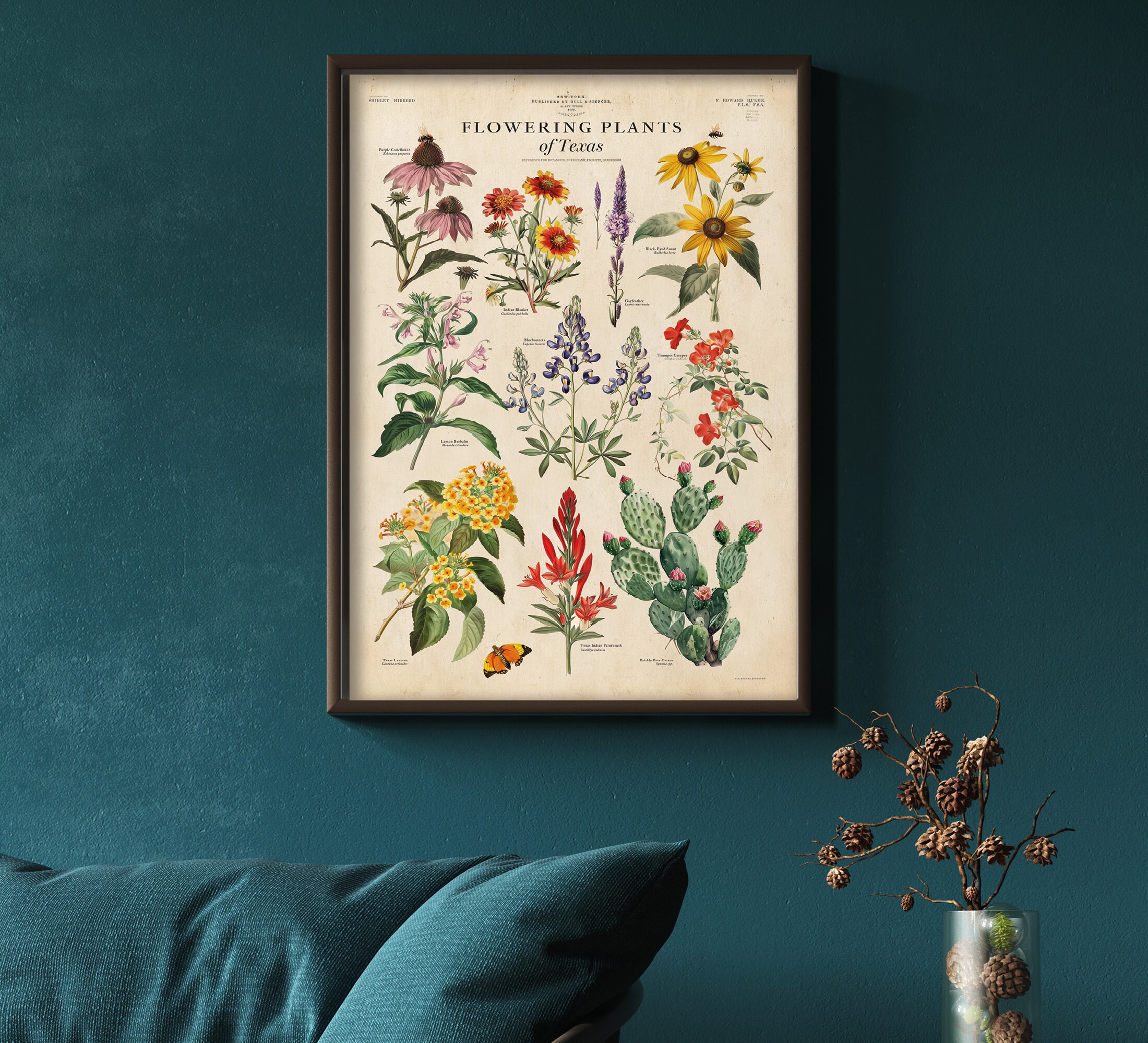 Texas Plants Vintage Botanical Chart Poster - Etsy